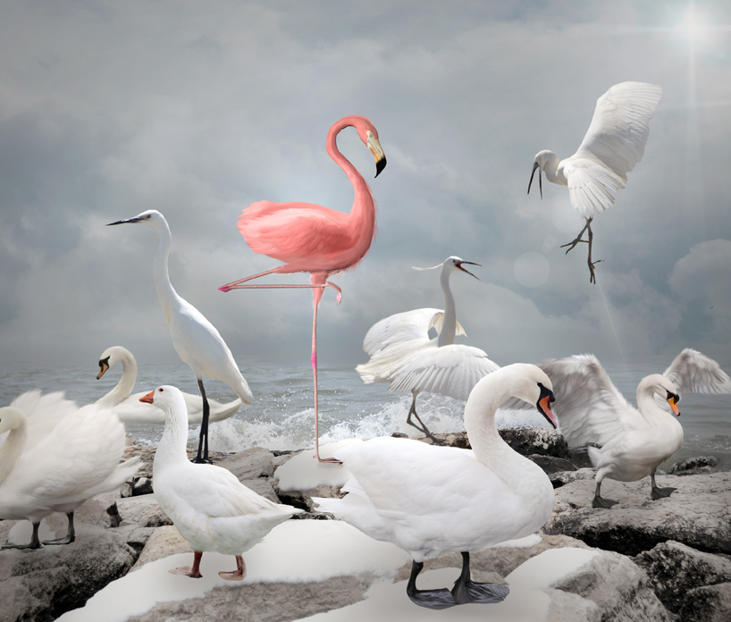5 ways Personal Trainers and Life Coaches can stand out from the crowd 5 ways Personal Trainers and Life Coaches can stand out from the crowd
