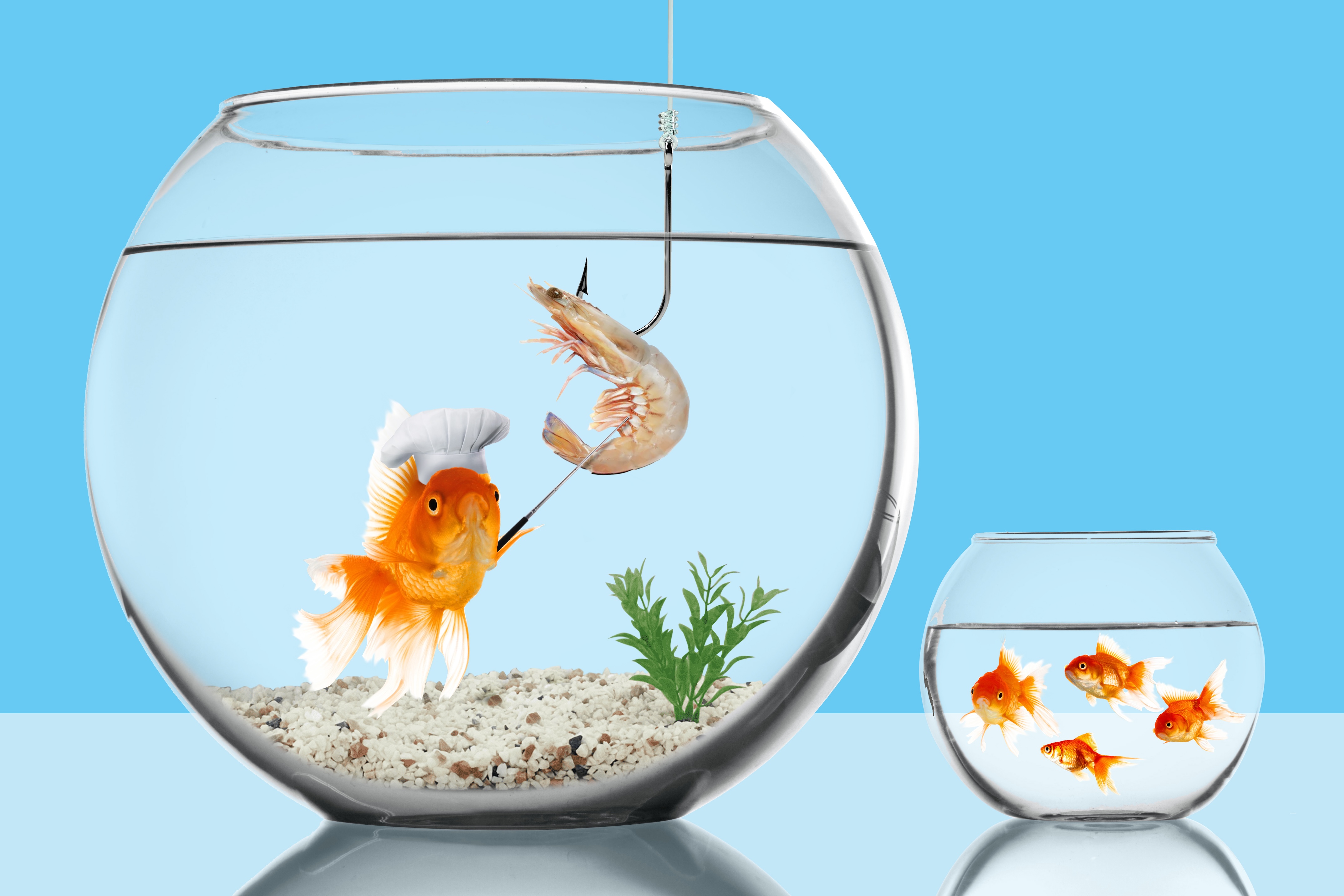 Work Skill Instructor Skill Set | TAESS00028 - Blended learning, Online ...